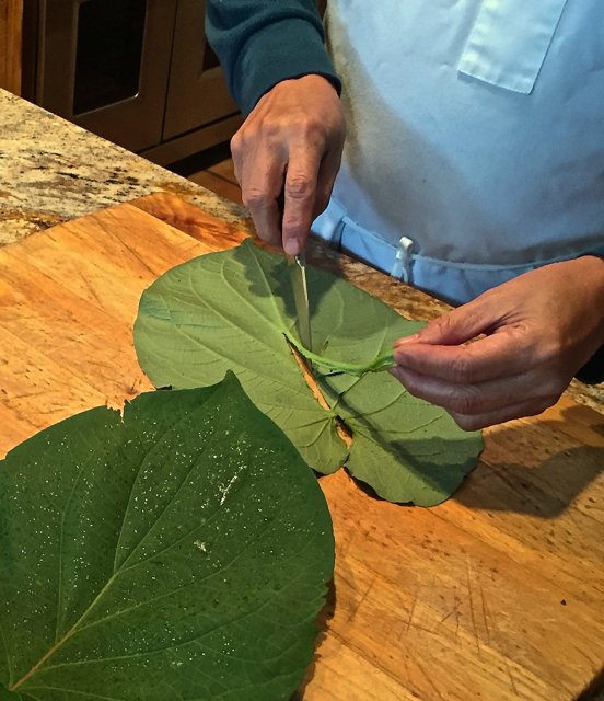 "Hoja Santa" Salad - Adán Medrano
